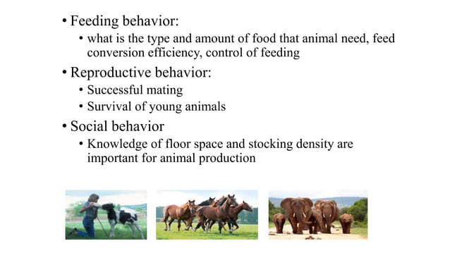 Animal behaviour | PPTX | Veterinary Medicine | Pets