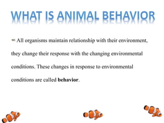 Animal behaviour | PPT