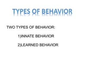 Animal behaviour | PPTX