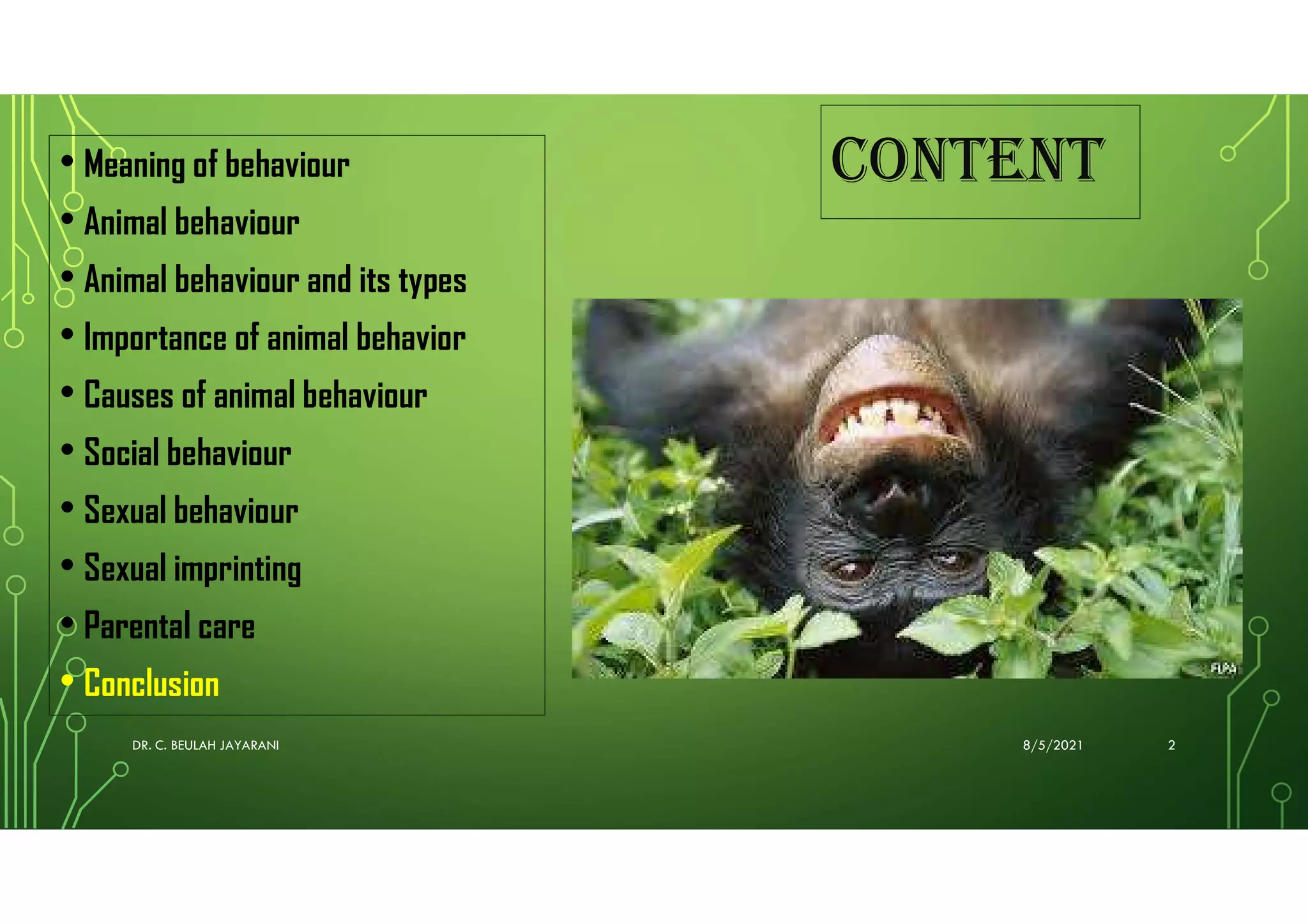 Animal behaviour | PDF | Biological Sciences | Science