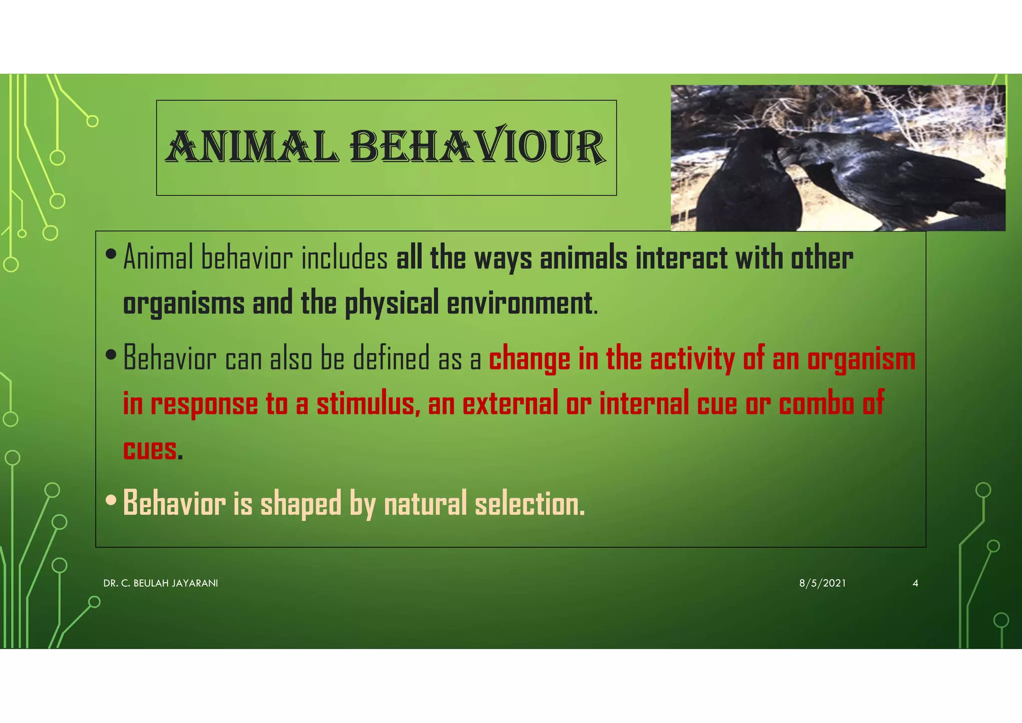 Animal behaviour | PDF
