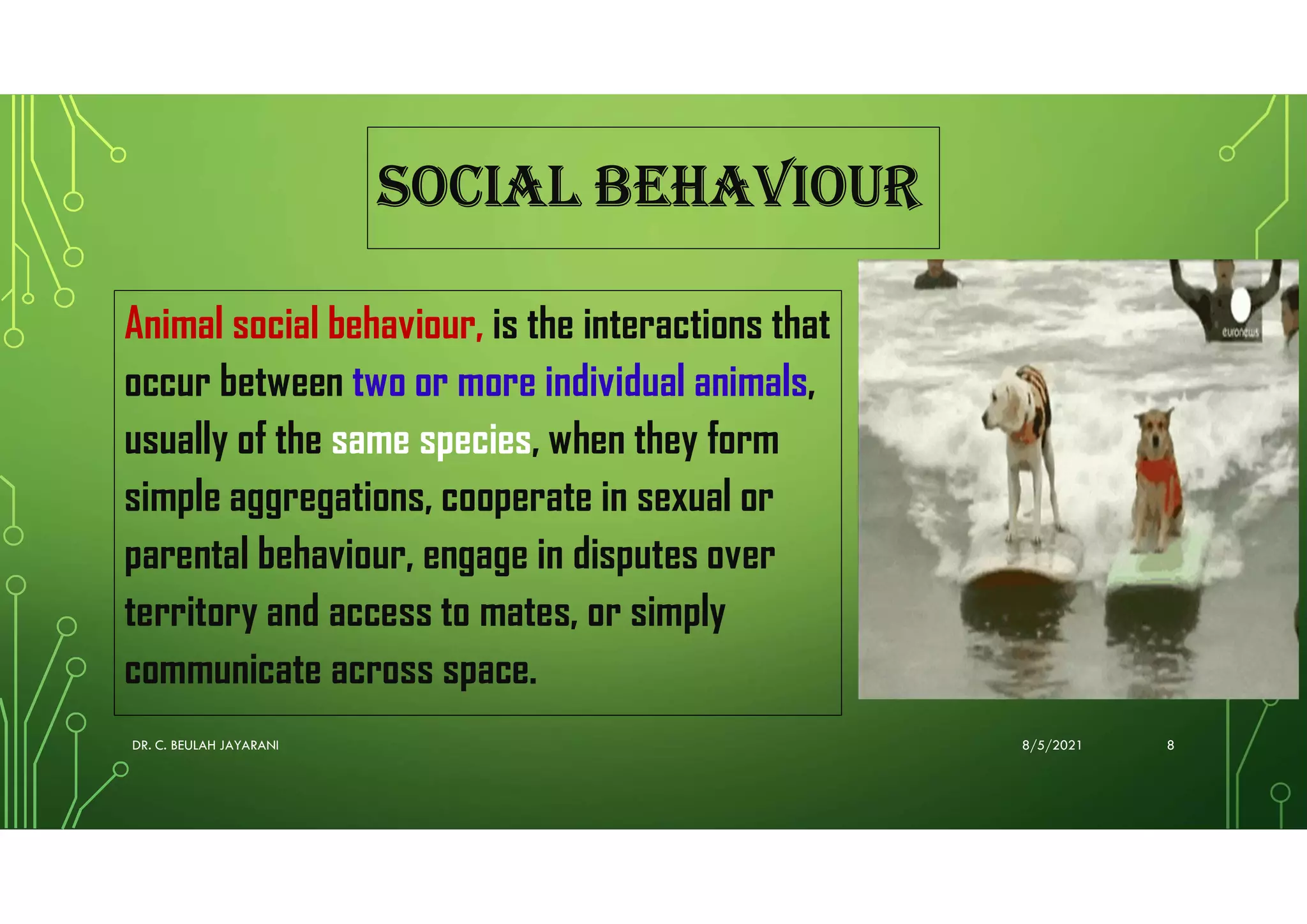Animal behaviour | PDF | Biological Sciences | Science