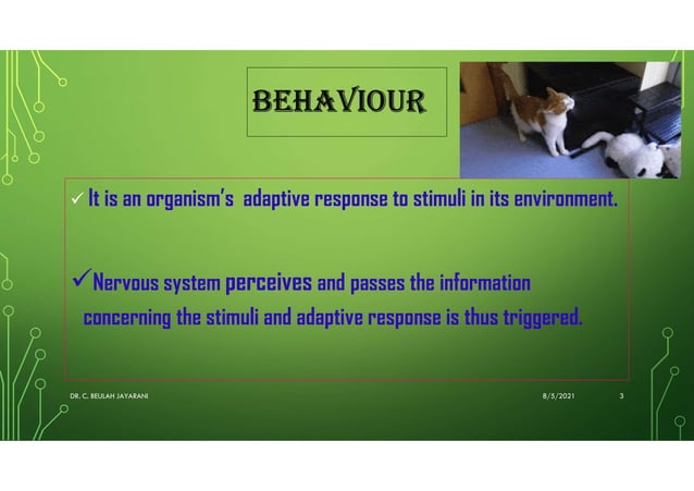 Animal behaviour | PPT