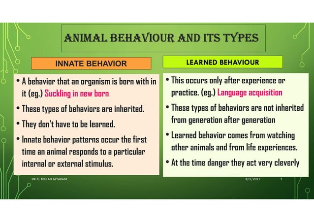 Animal behaviour | PPT