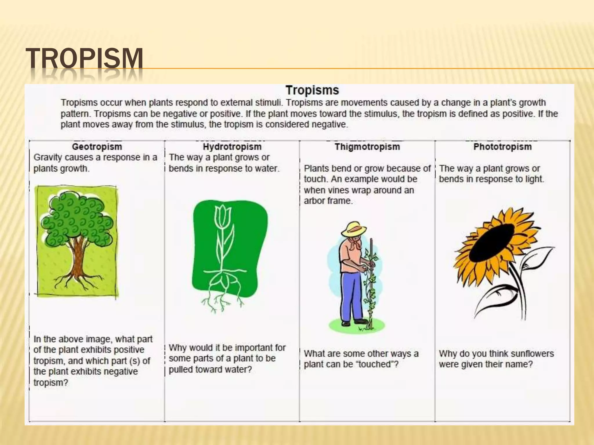Animal Behaviour.pptx | Biological Sciences | Science