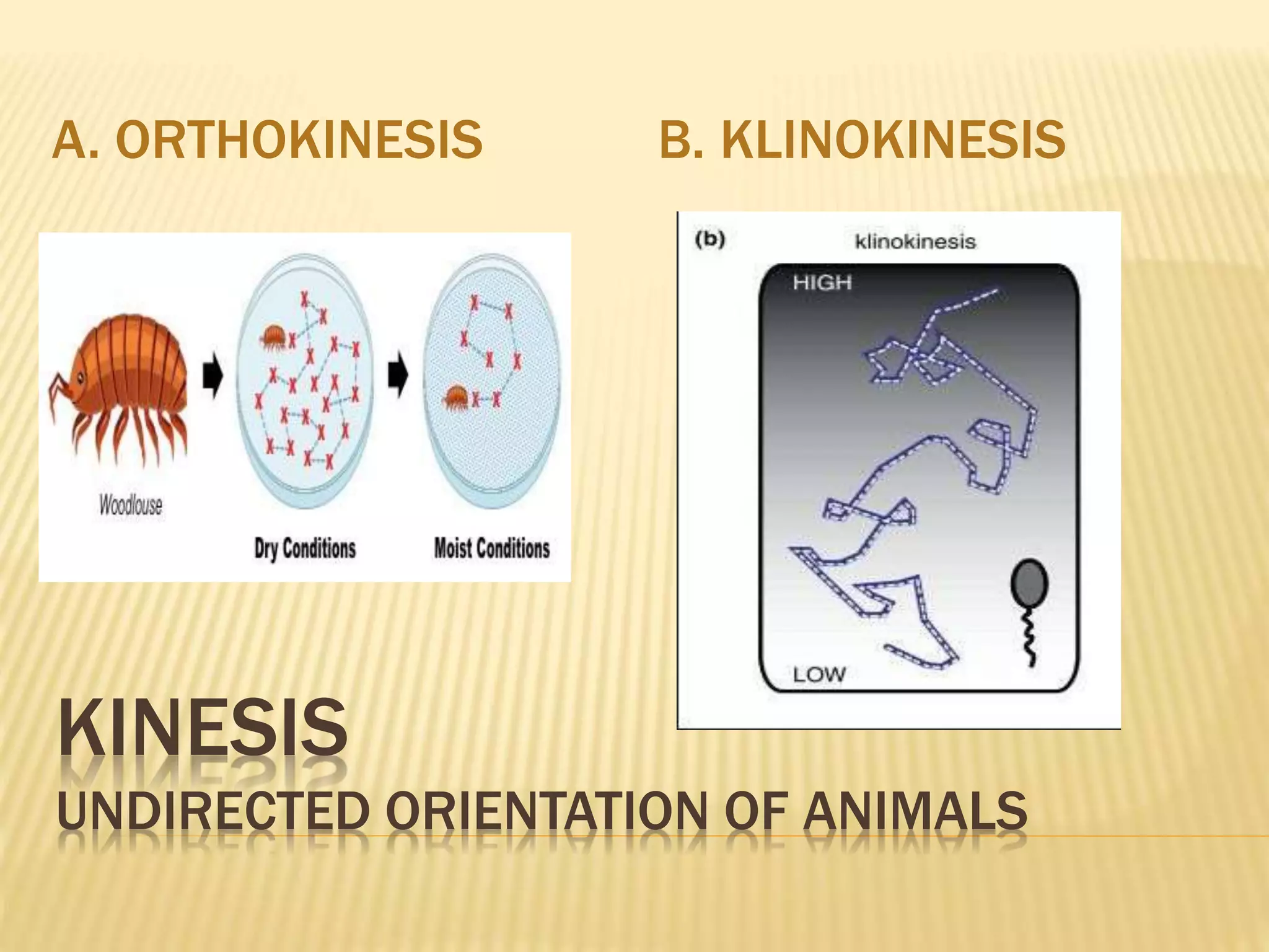 Animal Behaviour.pptx | Biological Sciences | Science