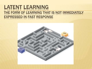 Animal Behaviour.pptx | Biological Sciences | Science