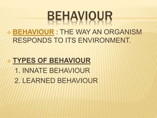 Animal Behaviour.pptx | Biological Sciences | Science