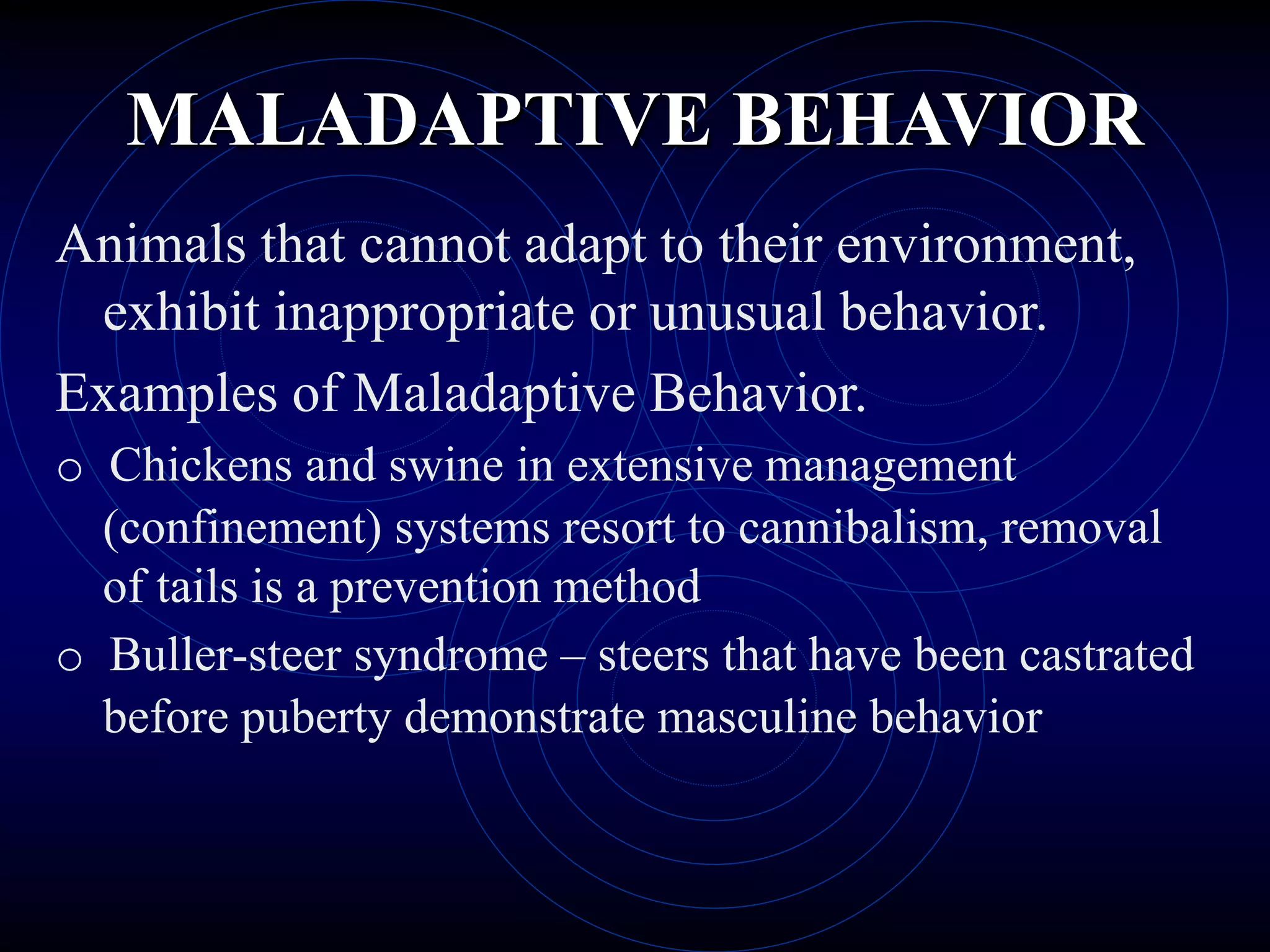 Animal behaviour.pptx