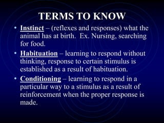 Animal behaviour.pptx