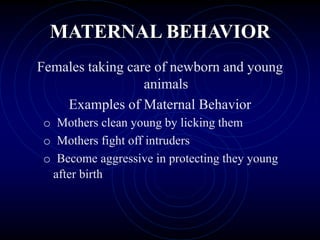 Animal behaviour.pptx