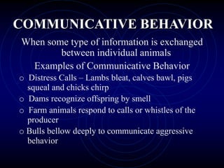 Animal behaviour.pptx