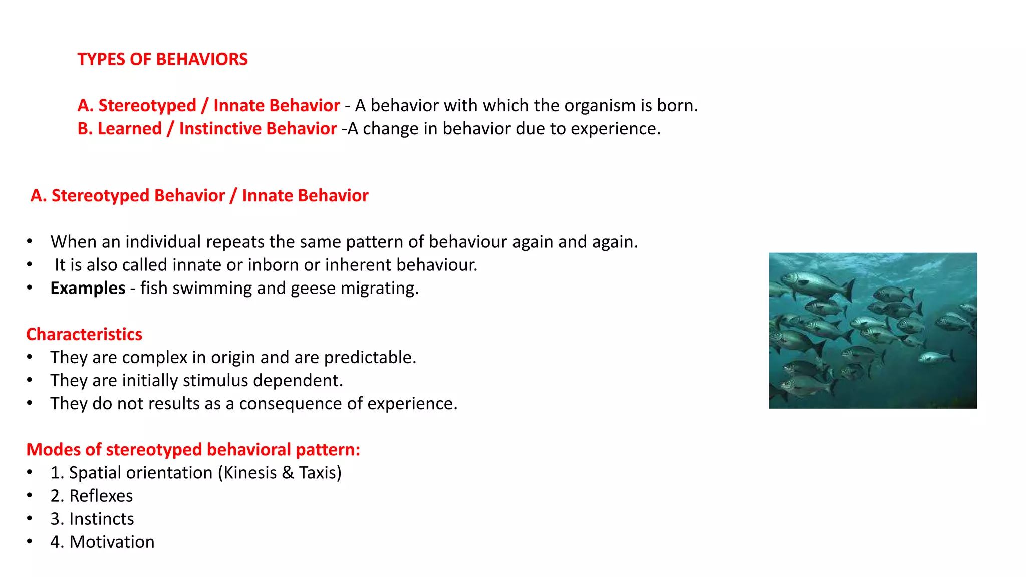 Animal Behaviour | PPTX | Beekeeping | Hobbies & Interests