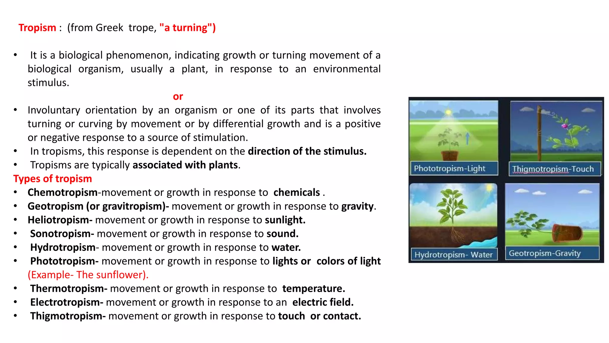 Animal Behaviour | PPTX | Beekeeping | Hobbies & Interests