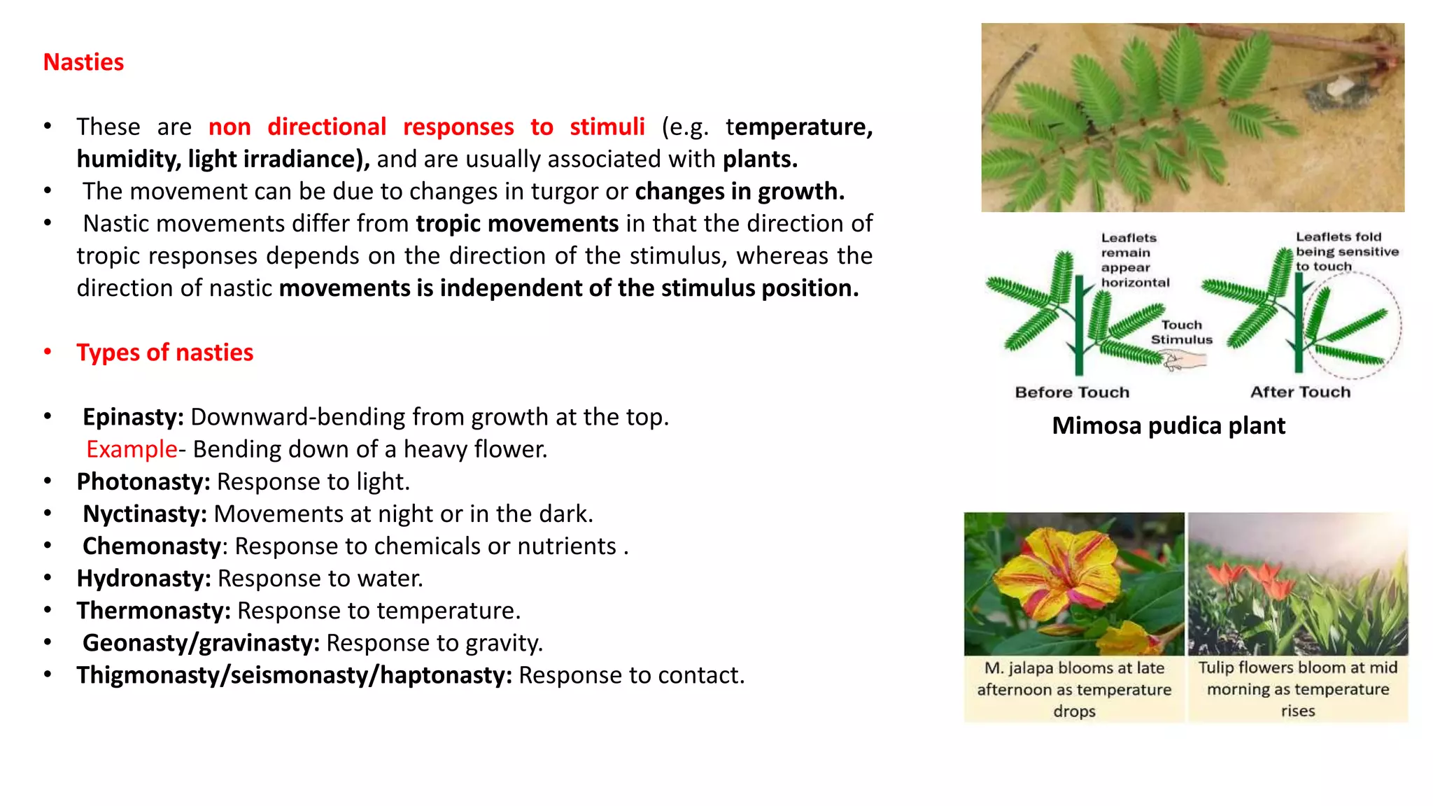 Animal Behaviour | PPTX | Beekeeping | Hobbies & Interests