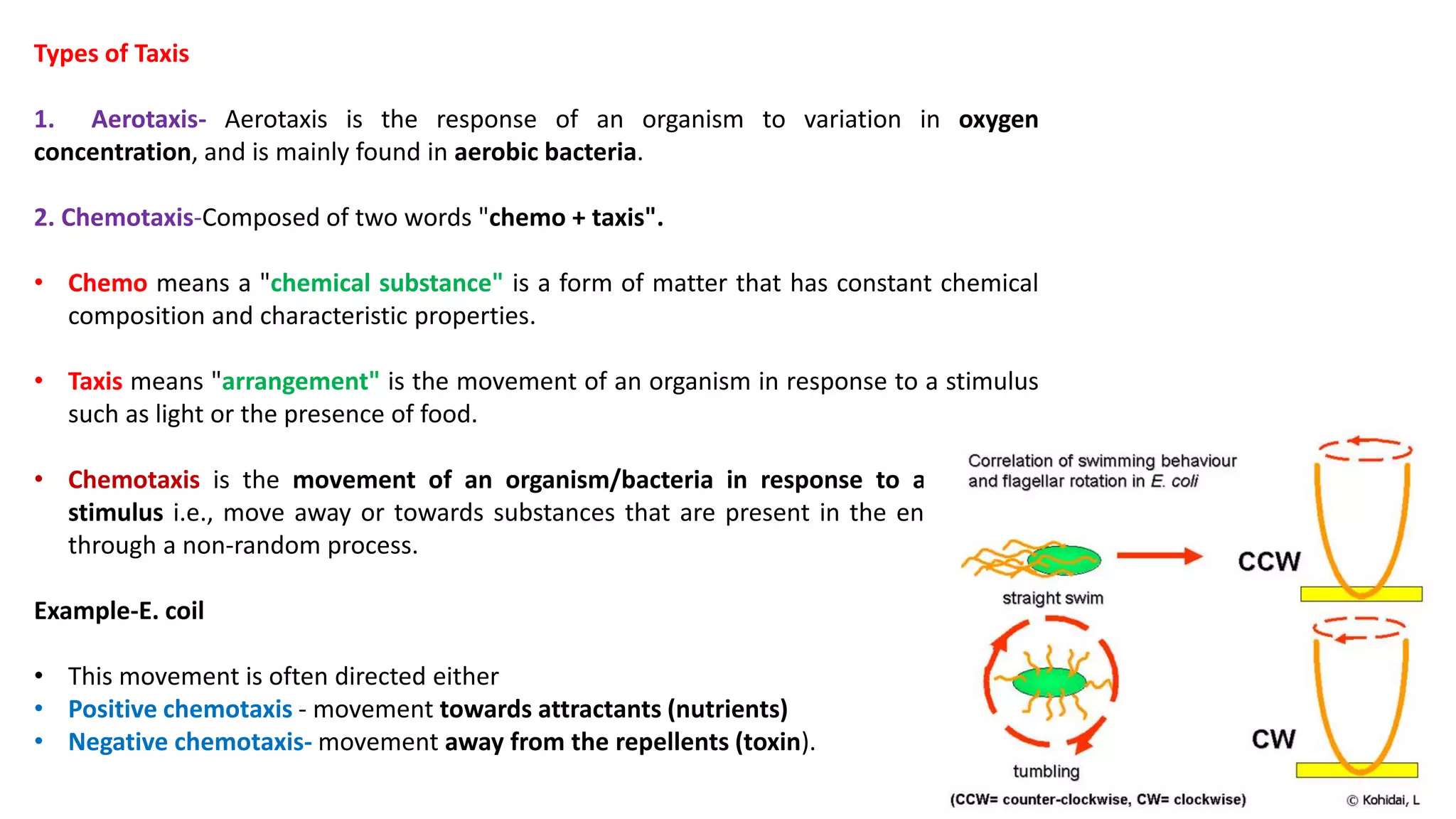 Animal Behaviour | PPTX | Beekeeping | Hobbies & Interests