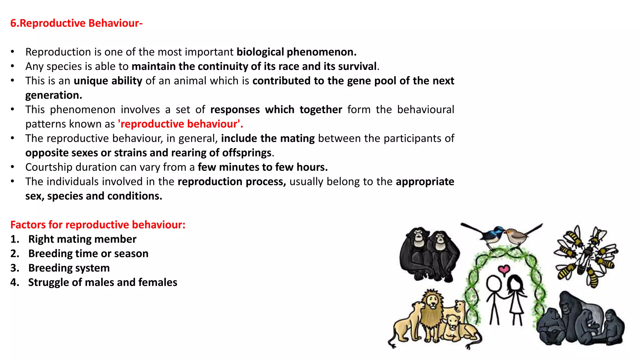 Animal Behaviour | PPTX | Beekeeping | Hobbies & Interests