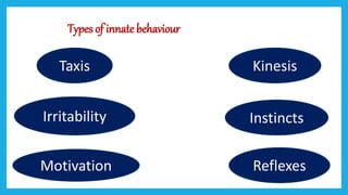Animal Behaviour: Kinds of Behaviour | PPTX