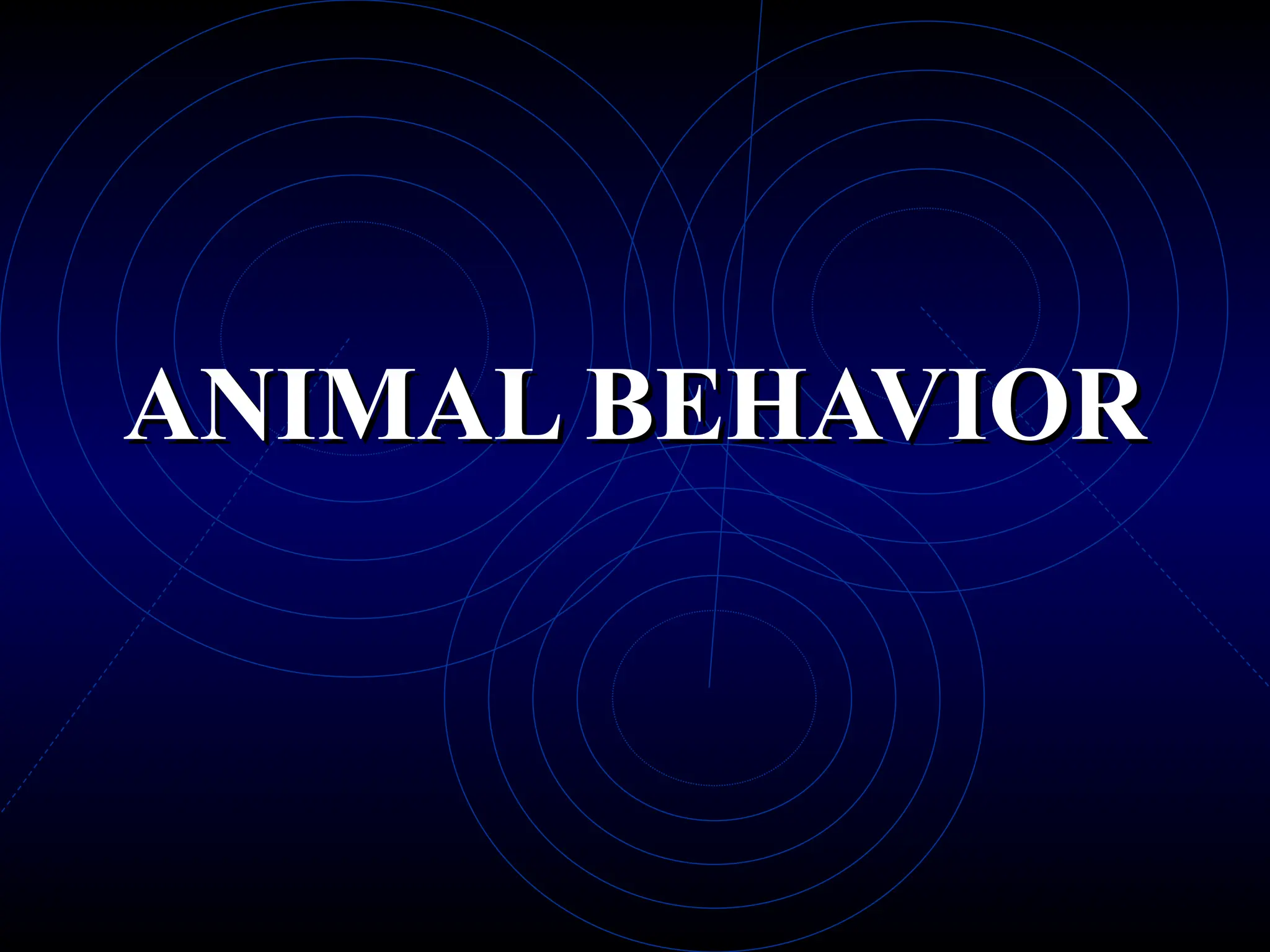 Animal behaviour ,,,,,,,,,,.................................ppt