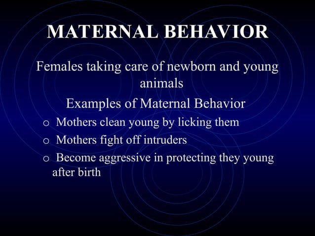 Animal behaviour ,,,,,,,,,,.................................ppt