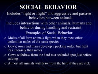 Animal behaviour ,,,,,,,,,,.................................ppt