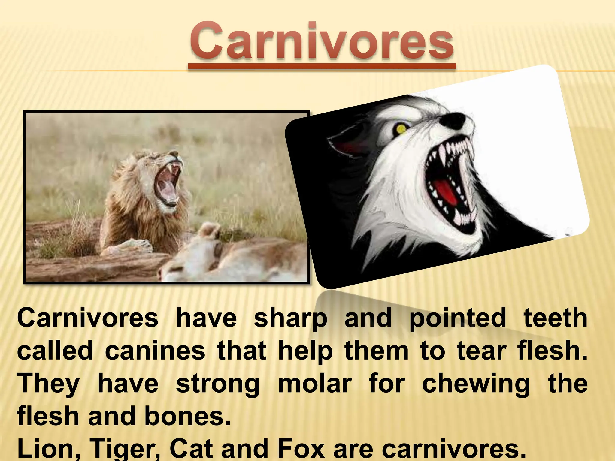 ANIMAL BEHAVIOUR and food collection.pptx
