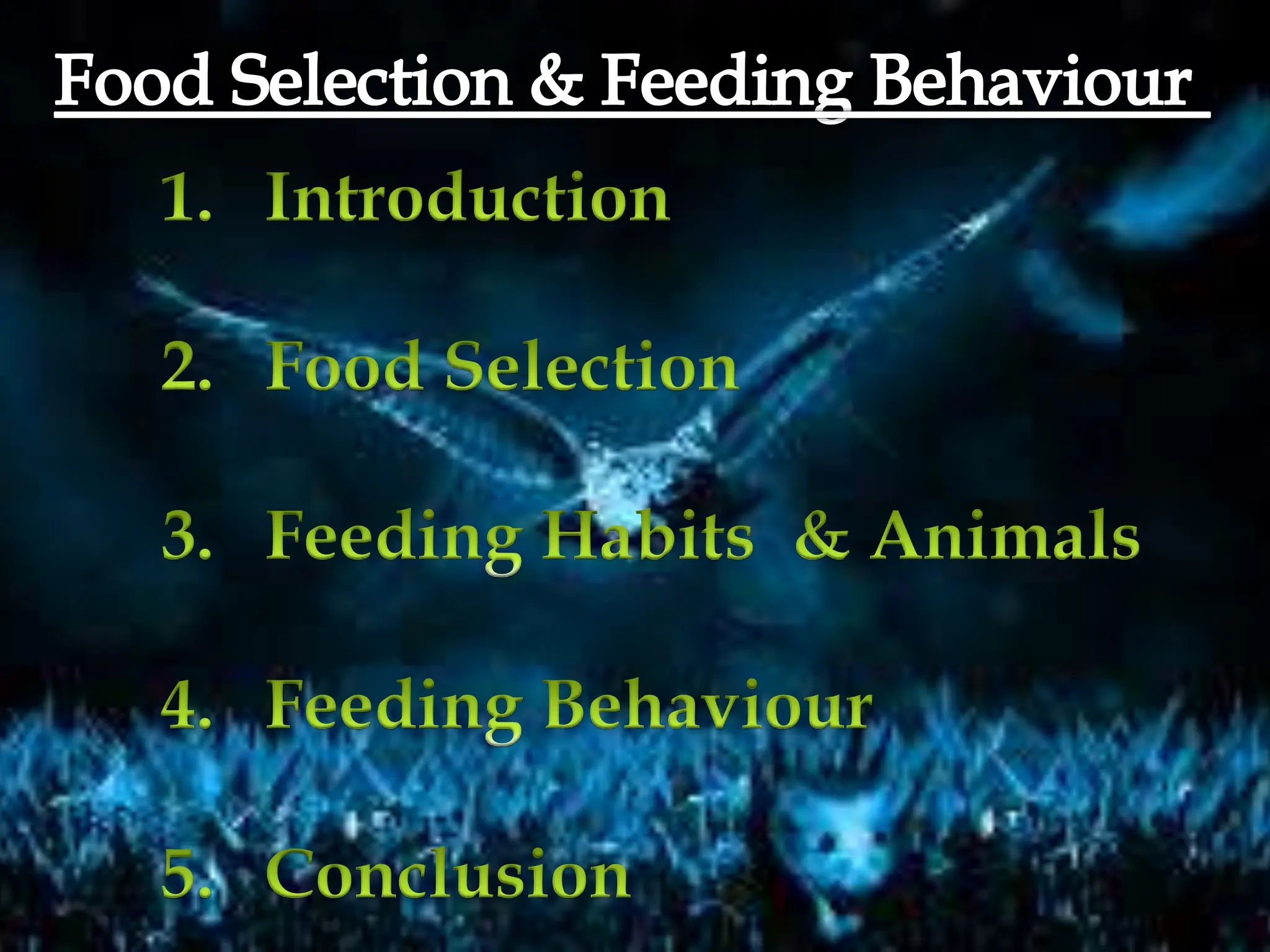 ANIMAL BEHAVIOUR and food collection.pptx