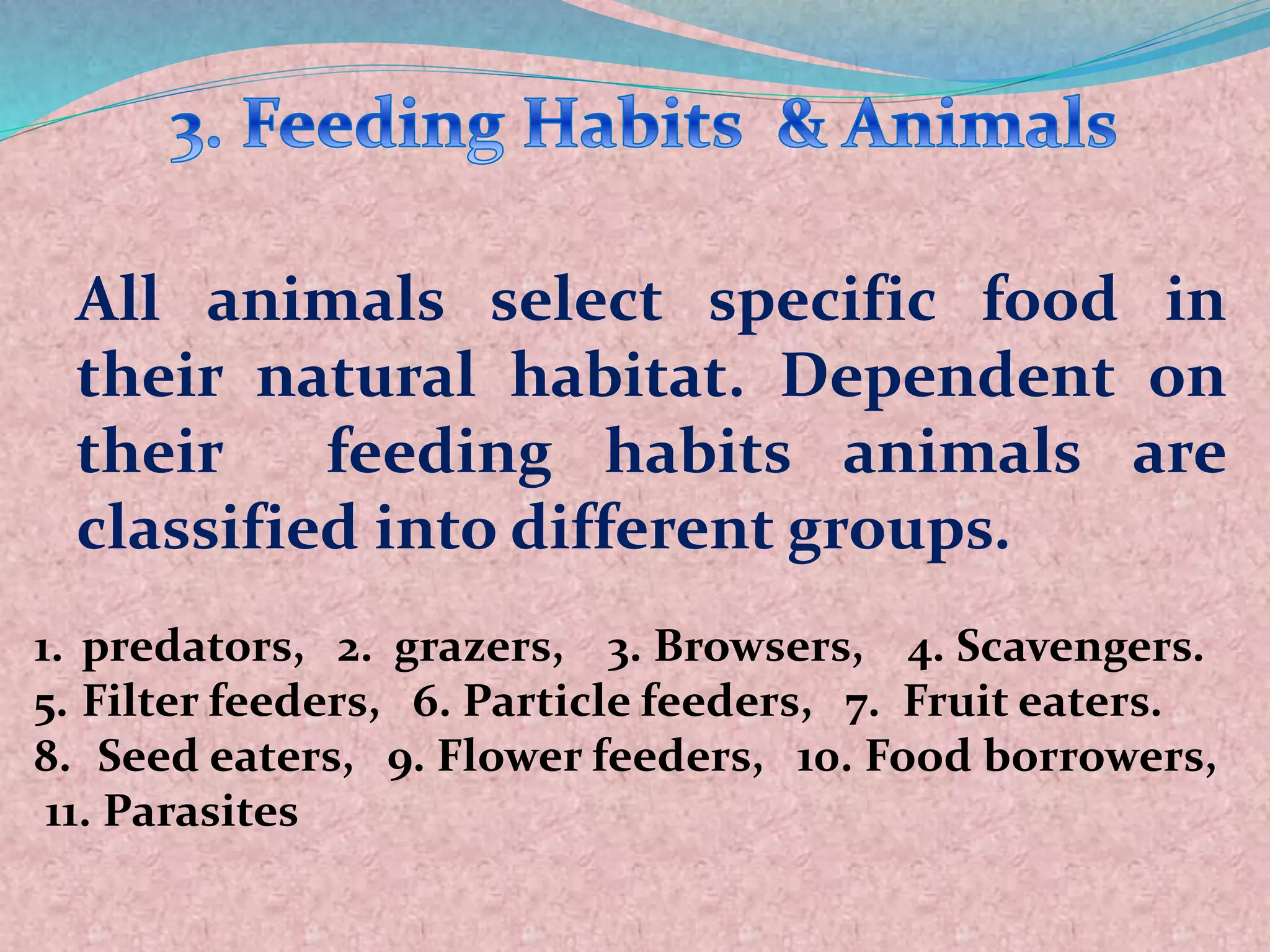 ANIMAL BEHAVIOUR and food collection.pptx