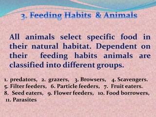 ANIMAL BEHAVIOUR and food collection.pptx