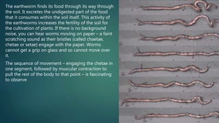 Locomotion of small animals ( earth worm, snails) | PPTX | Gardening ...