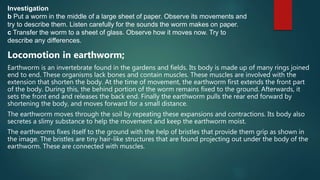 Locomotion of small animals ( earth worm, snails) | PPTX