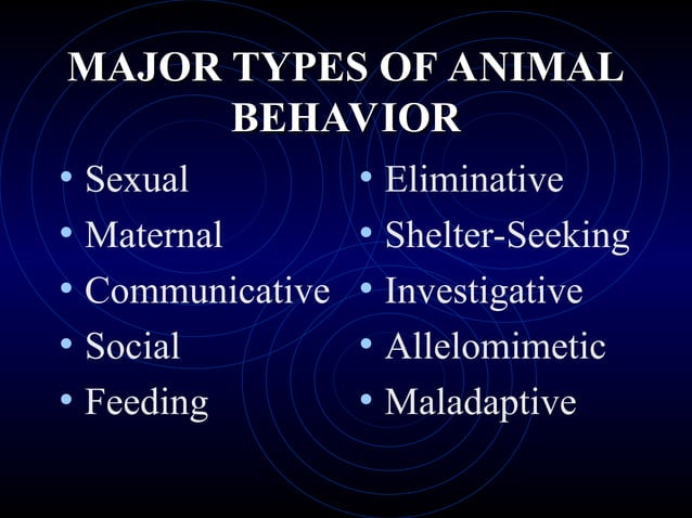 Animal behaviour 1 by Runa B34hdjdjdhdhdj07.ppt
