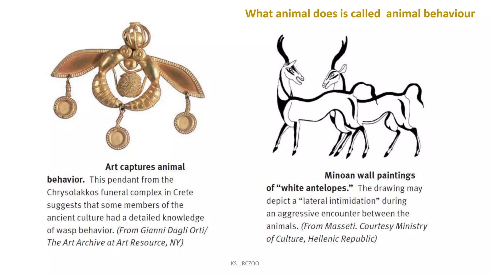 Animal behaviour and chronobiology | PPTX