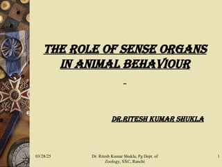 Animal Behaviour Role of sense orgams by Dr. Ritesh Kumar Shukla.ppt
