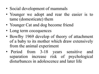 Animal behaviour and types of animal behavior power point presentation ...