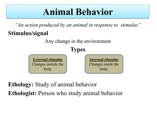Animal behaviour and types of animal behavior power point presentation ...