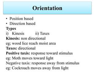 Animal behaviour and types of animal behavior power point presentation ...