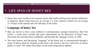 Social organization in honey bee | PDF