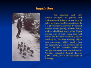 Animal beh vior | PPT