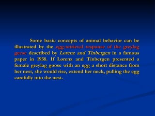 Animal beh vior | PPT