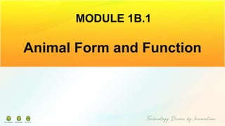 Animal Biology.pdf