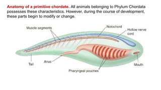 Animal Biology.pdf
