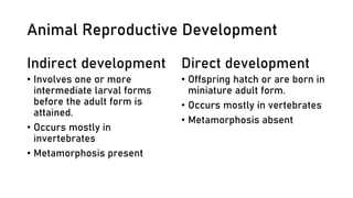 Animal Biology.pdf