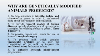 Animal biotech | PPT