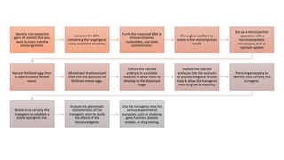 animal biotech transgene integration methods | PPTX