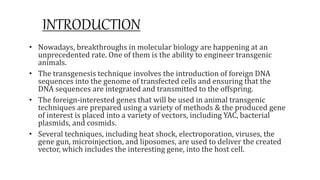 animal biotech transgene integration methods | PPTX