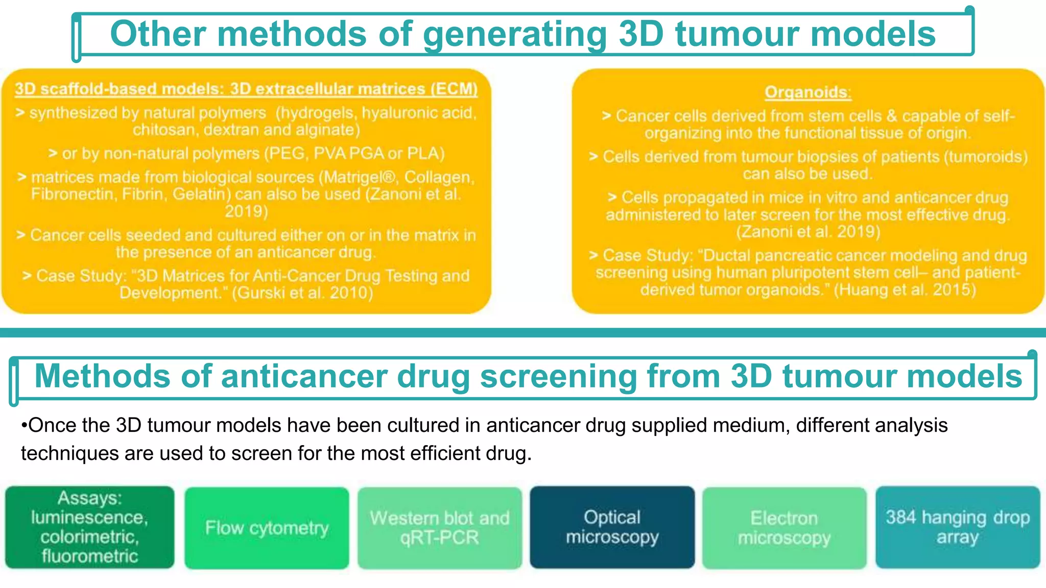 Potentials of 3D models in anticancer drug screening | PPTX