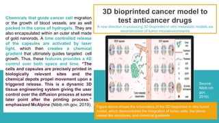 Potentials of 3D models in anticancer drug screening | PPTX