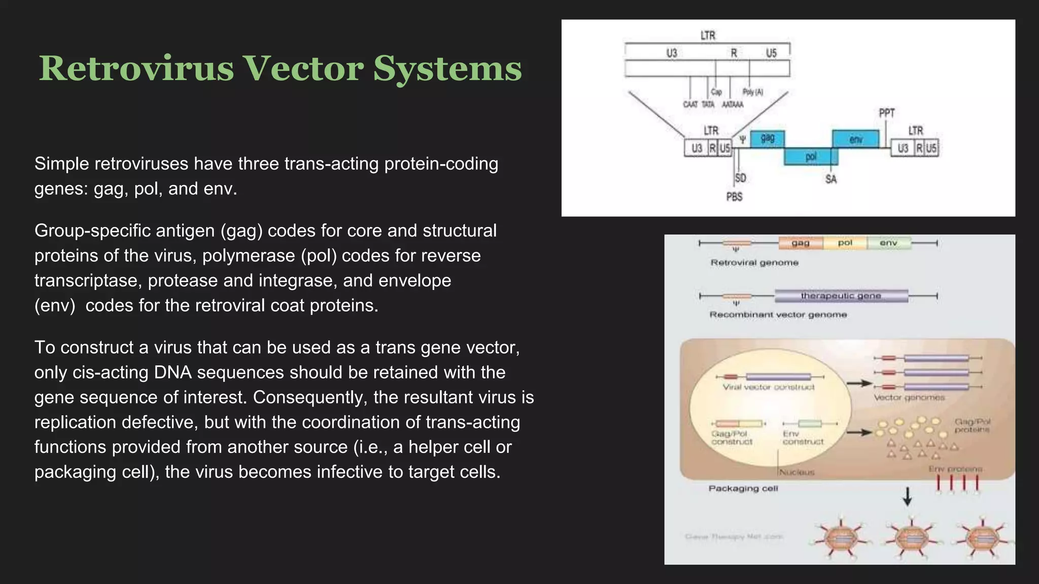 Vectors for gene transfer in animals: Retro virus | PPTX