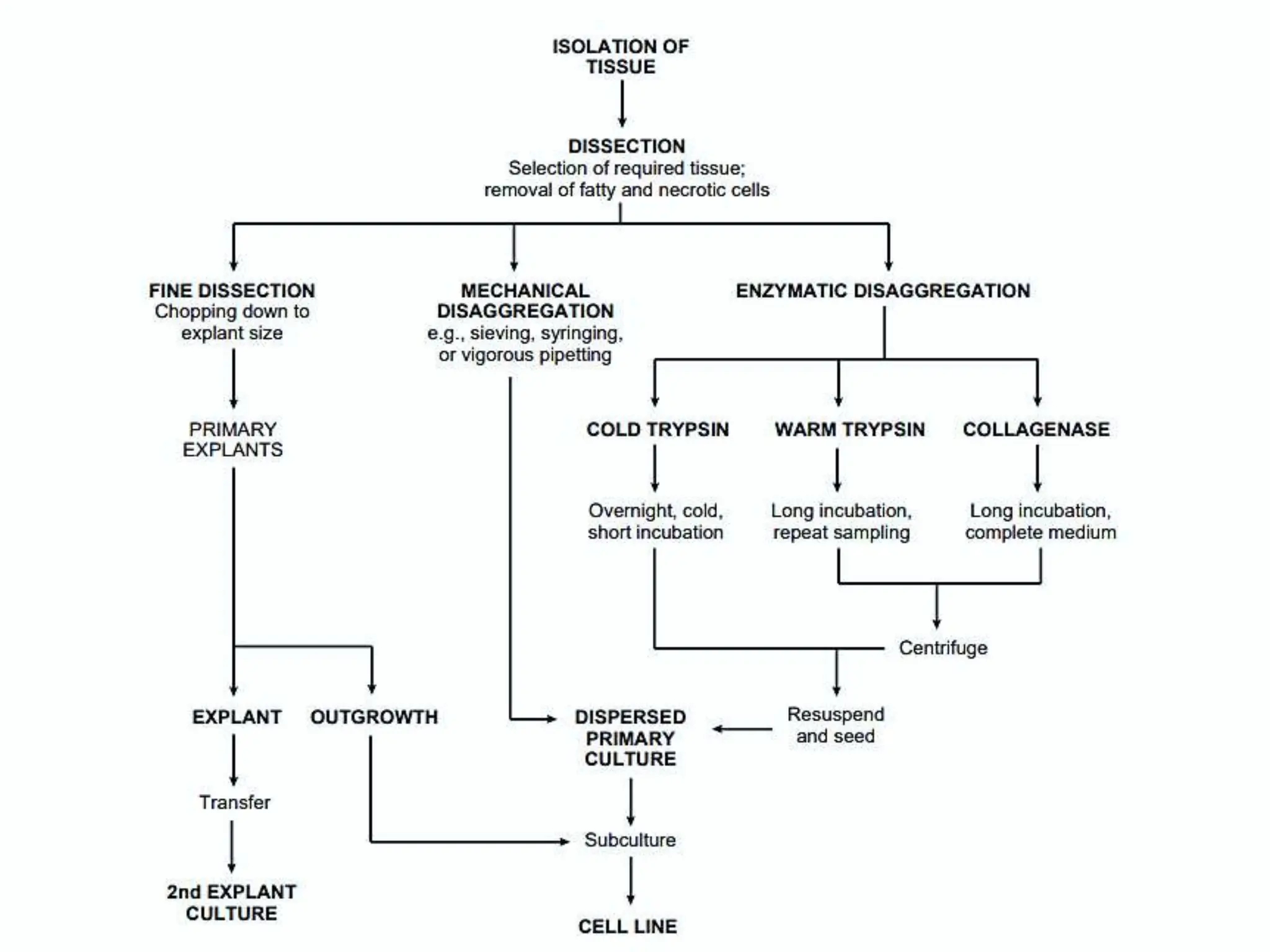 ANIMAL BIOTECHNOLOGY. Cell culture and its types | PPT